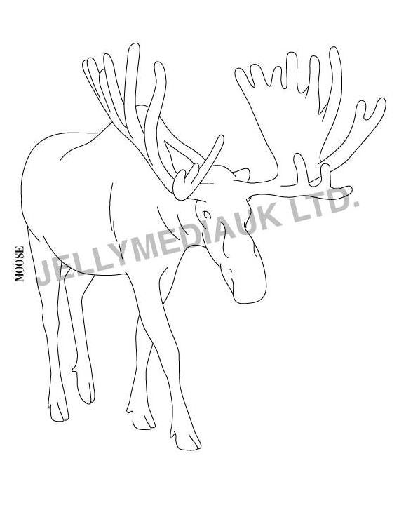Winter Animals Embroidery Patterns - Etsy