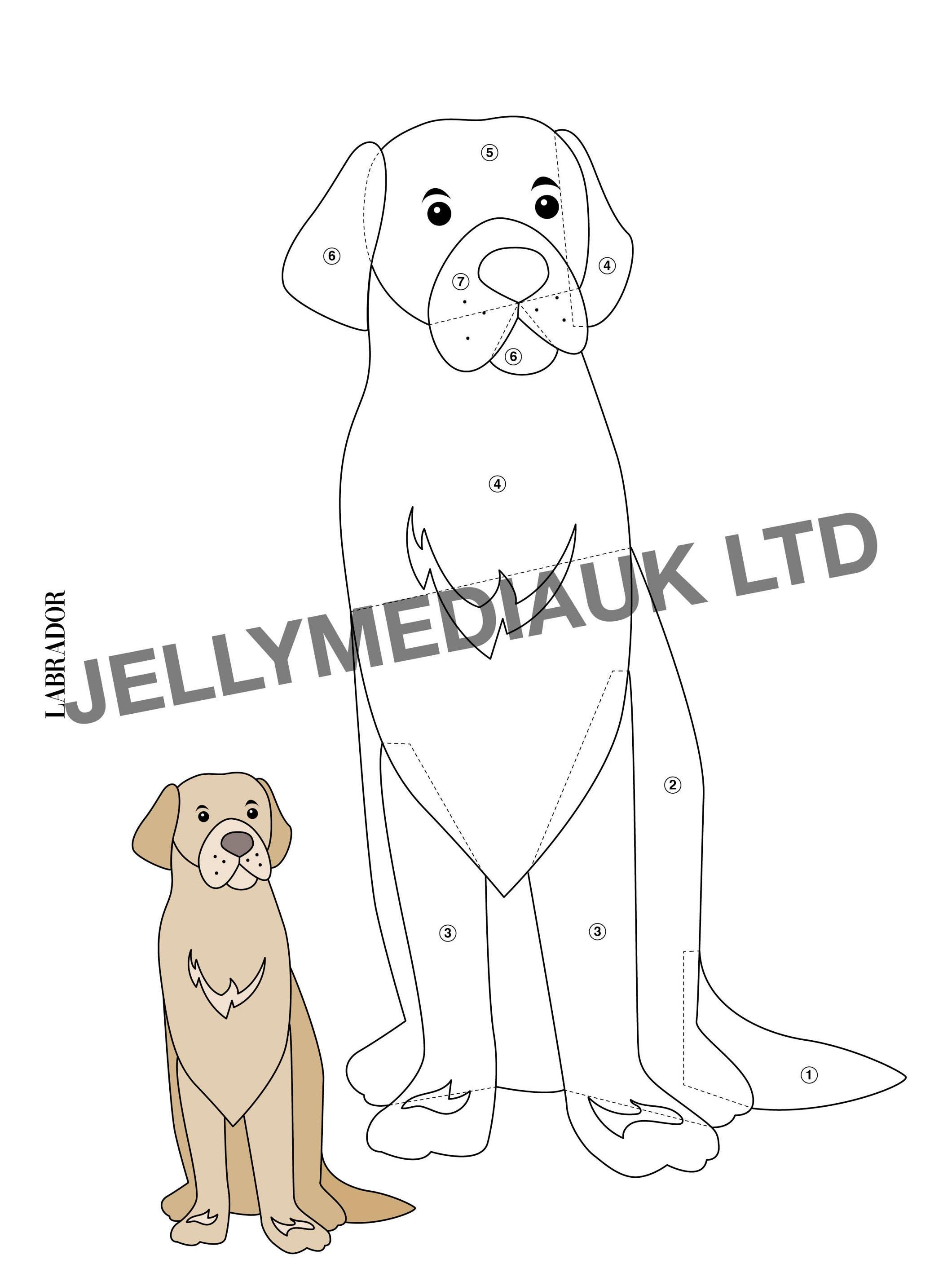 Dog Breeds Patchwork Appliqué Patterns - Etsy