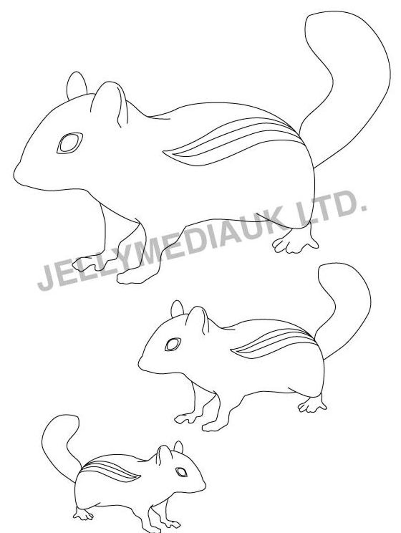 Winter Animals Embroidery Patterns - Etsy