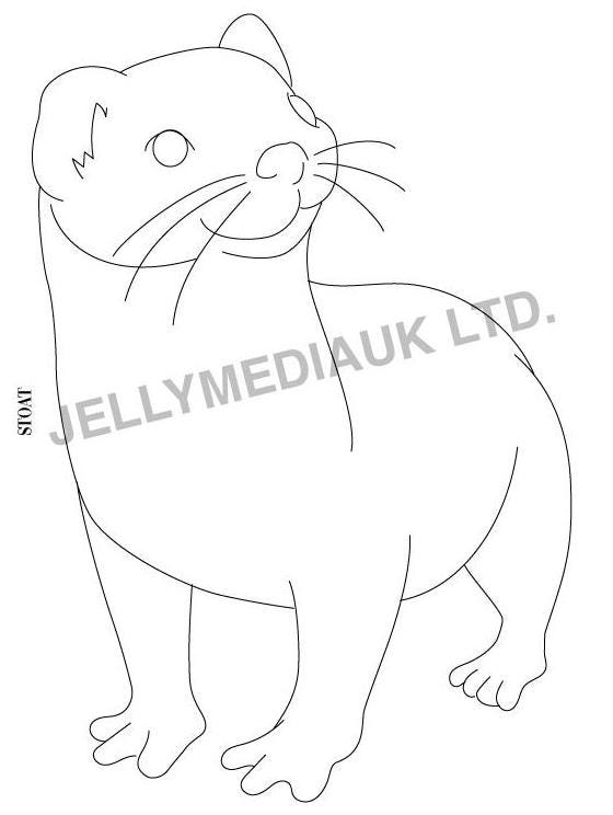 Winter Animals Embroidery Patterns - Etsy