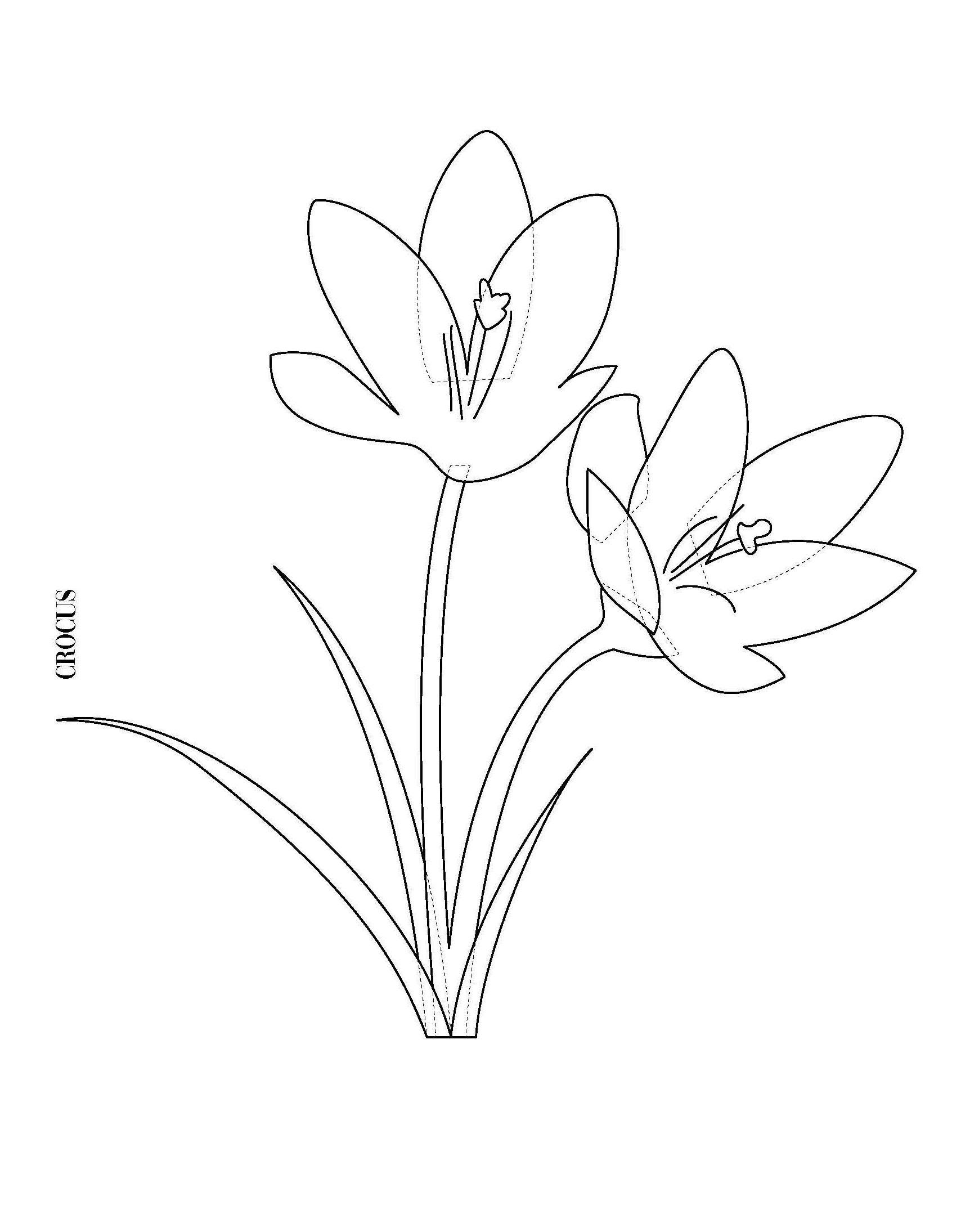 Flower Patchwork Appliqué Patterns - Etsy