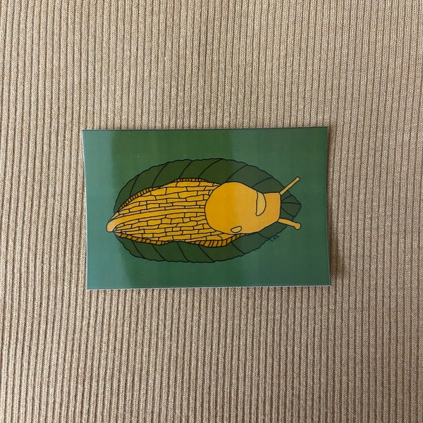 Banana Slug Sticker - Etsy