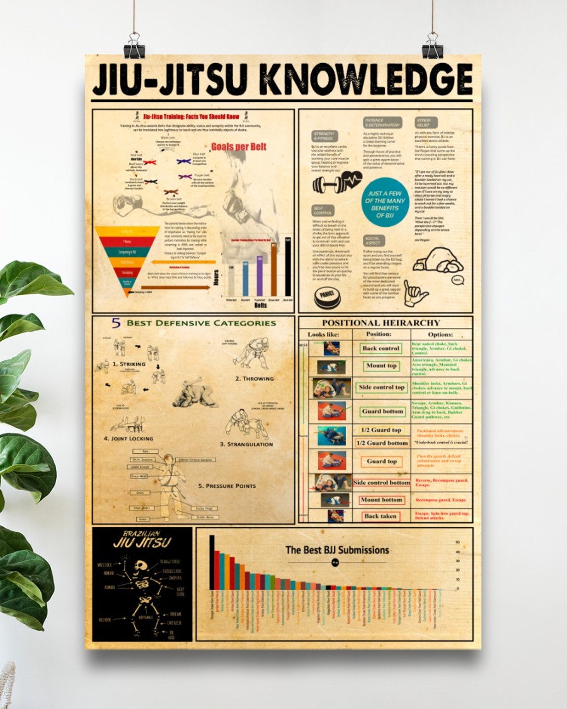 Jiu Jitsu Knowledge Poster Jiu Jitsu Poster Jiu Jitsu | Etsy