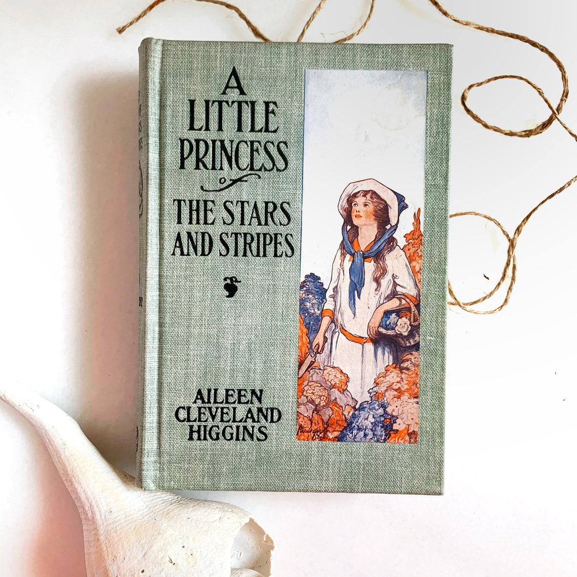 Green Antique Book Set A Little Princess Book Set-bookshelf | Etsy
