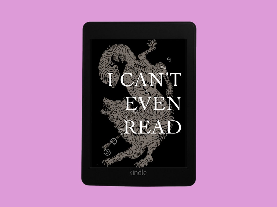 Kindle Lock Screen | Epub File| Bookish | Book Gifts | Booktok - Etsy