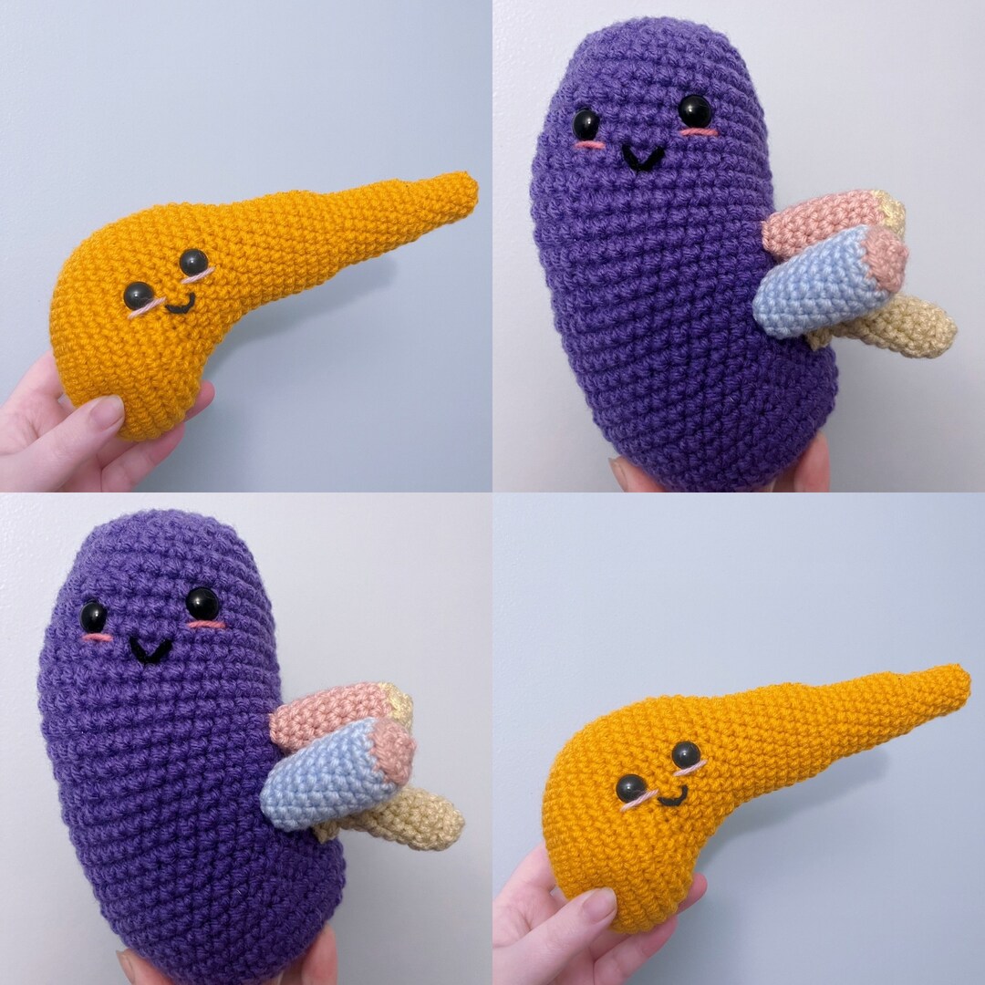 CROCHET ORGANS Pancreas & Kidney Handmade Amigurumi Plushiesmed ...