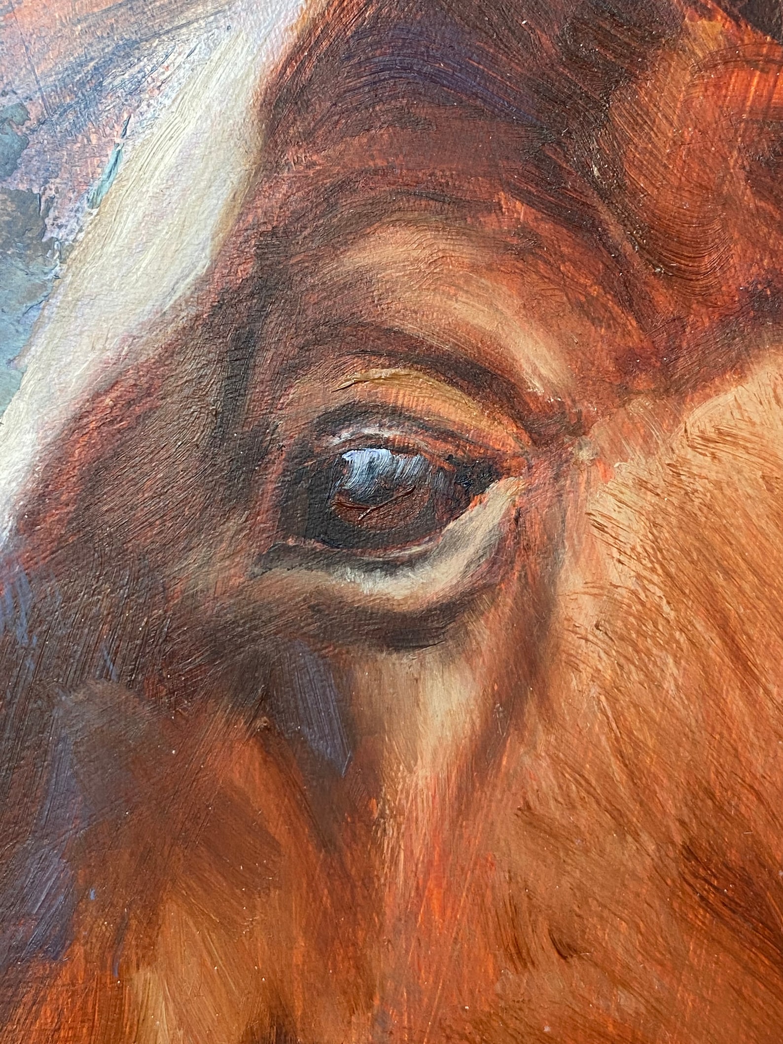 Pinto Horse Original Oil Painting - Etsy