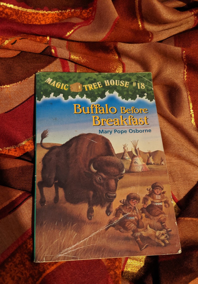 Magic Tree House # 18 - Etsy