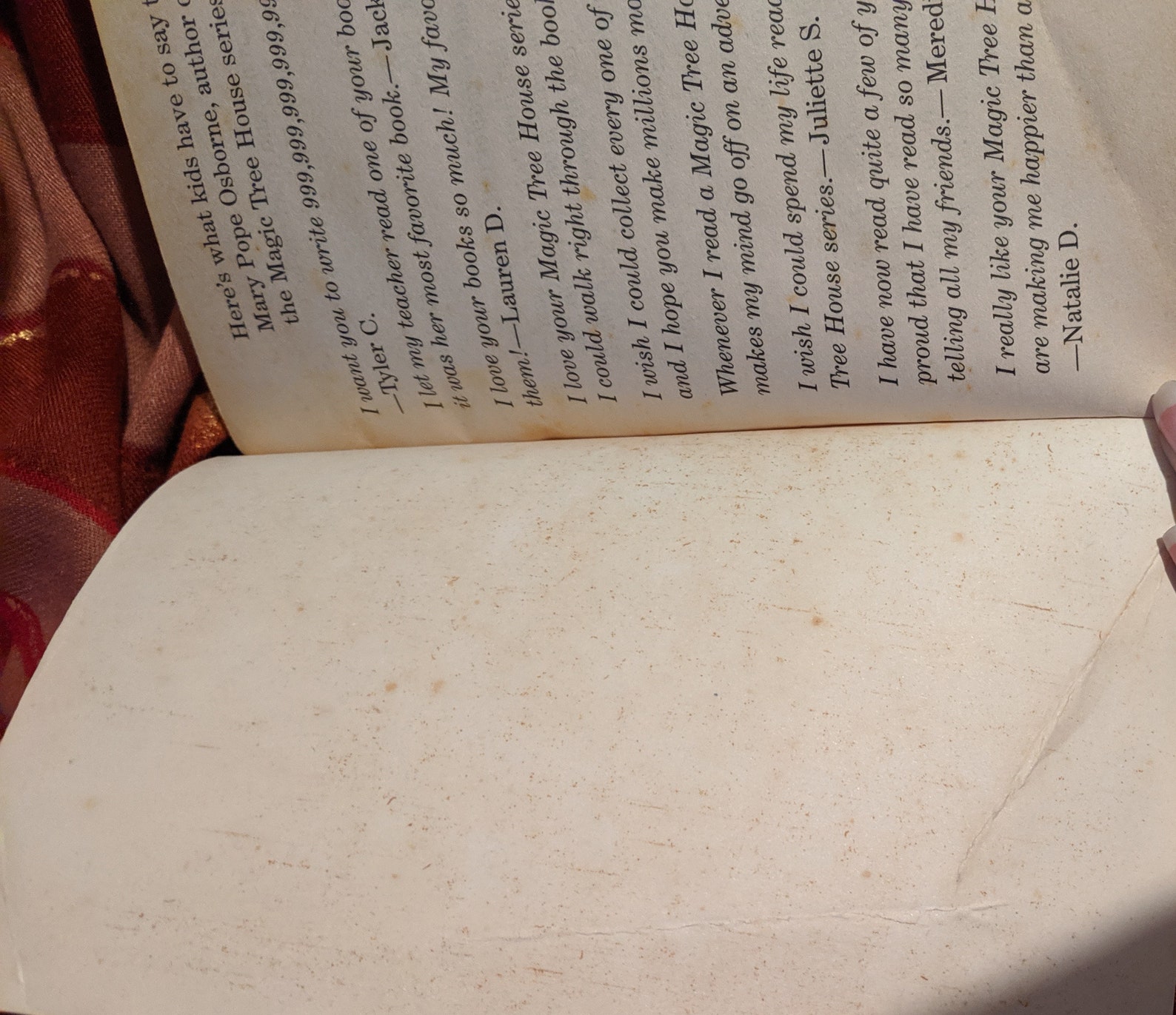 Magic Tree House # 18 - Etsy