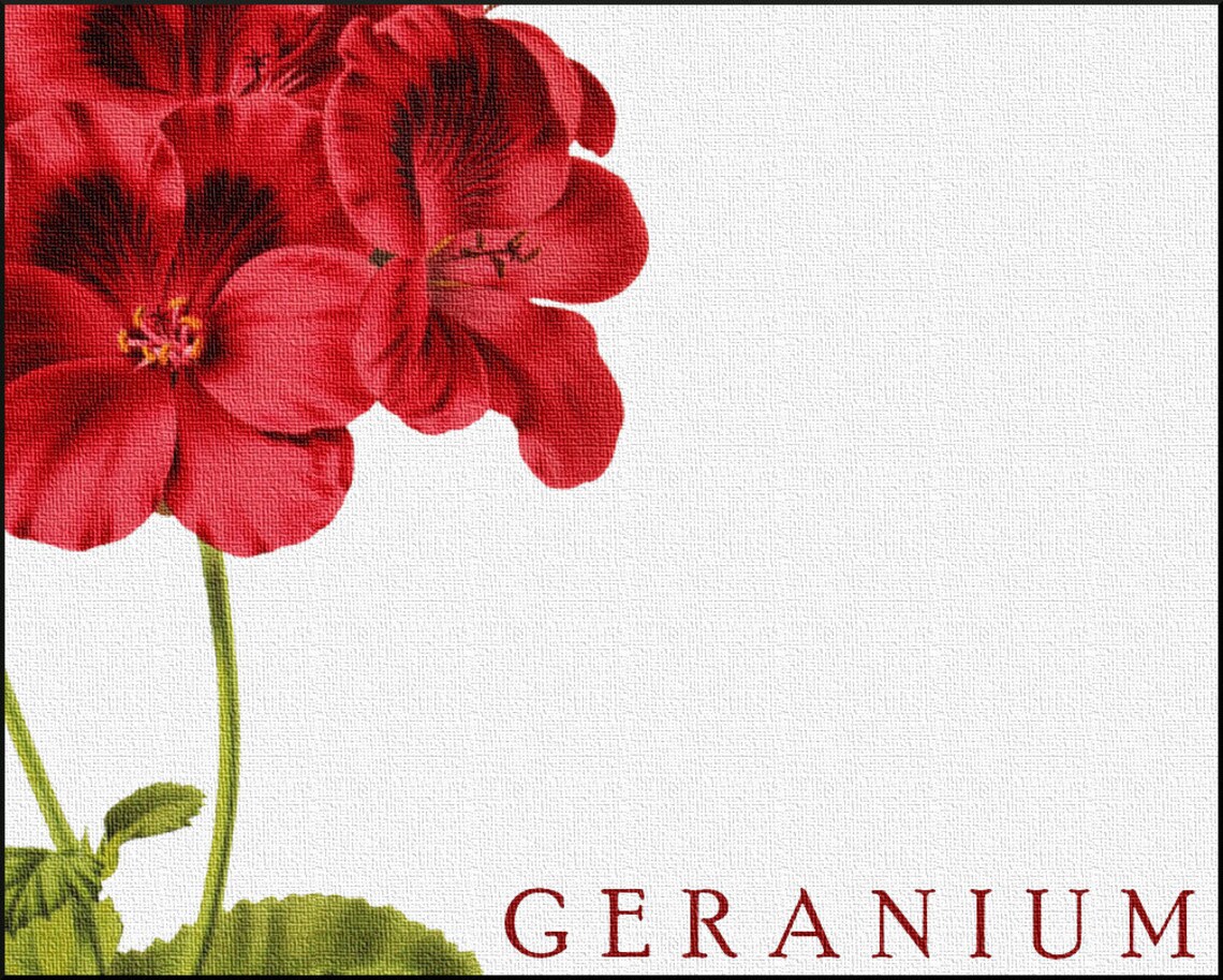 Geranium Wall Decor - Etsy