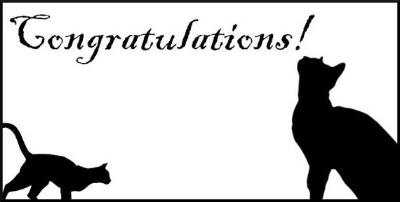 Congrats Kitty