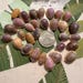 Small Hawaiian Cone Shells Handpicked From Oahu Beaches for Jewelry ...
