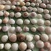 Large Hawaiian Cone Shells Handpicked Natural Authentic Hawaiian Shells ...
