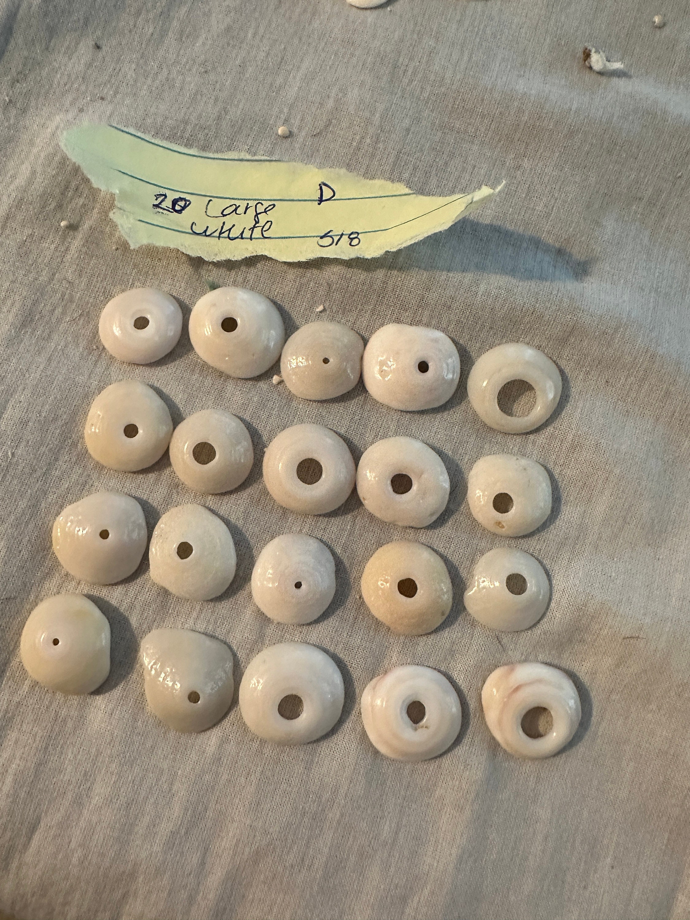 Large Hawaiian Puka Shells With Puka 20 Pack - Etsy