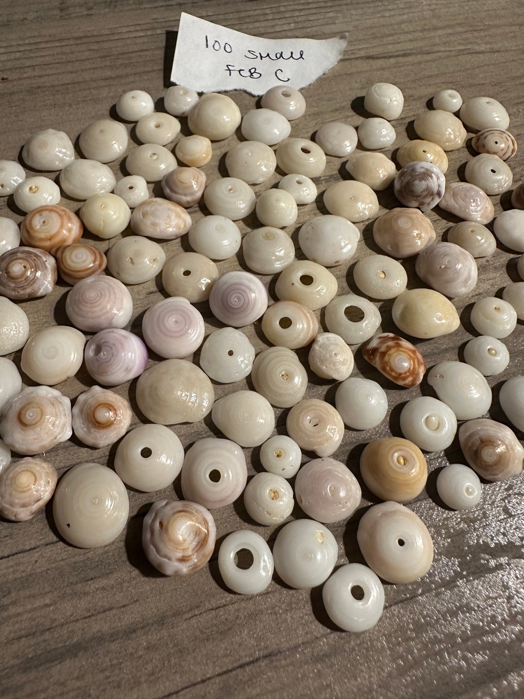 Small Handpicked Hawaiian Puka Shells Oahu - Etsy
