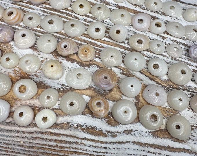 100 Small Hawaiian Puka Shells Handpicked From Oahu’s North Shore With ...