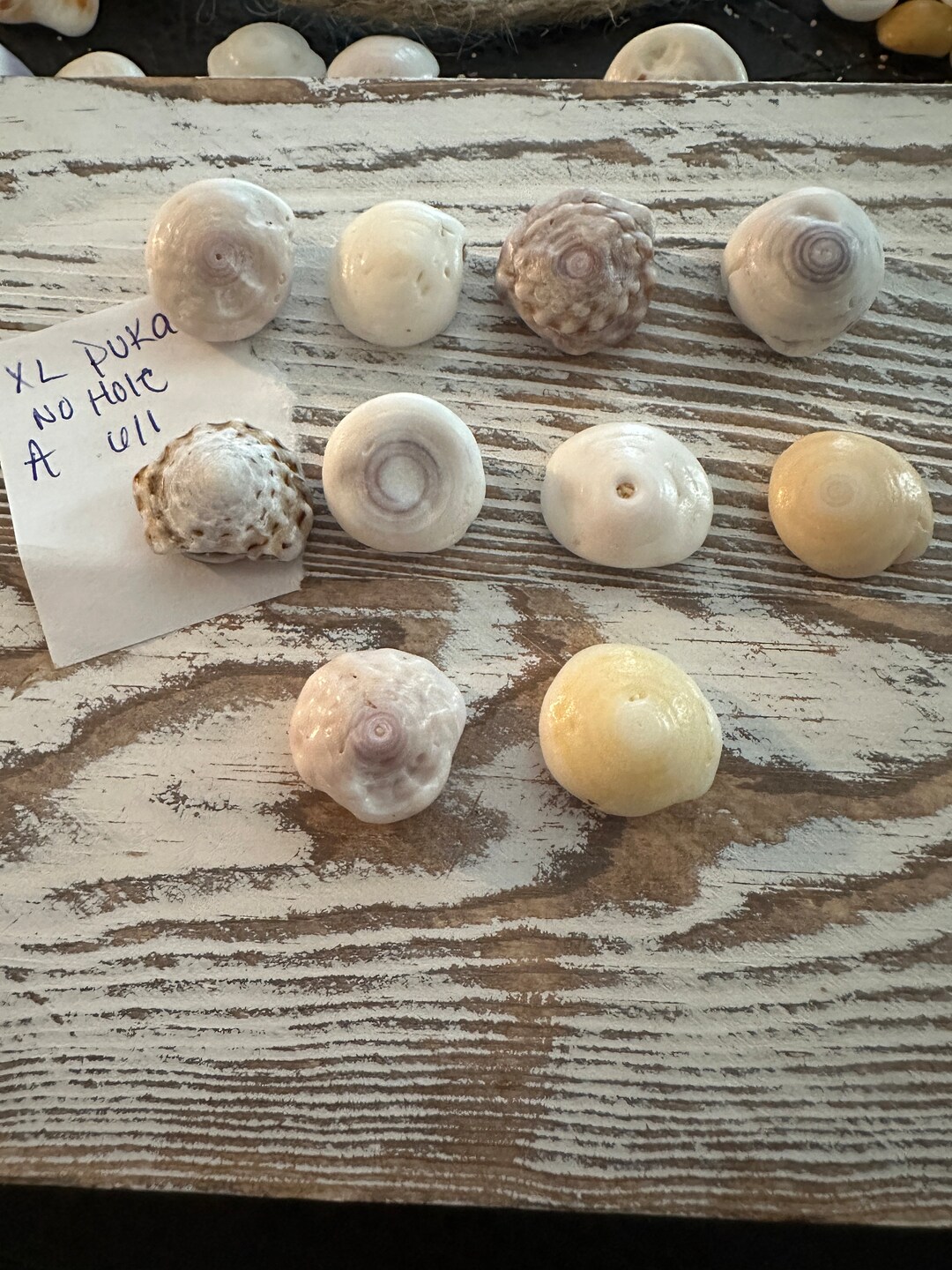 XL Hawaiian Handpicked Puka Shells 6/1 Batch - Etsy