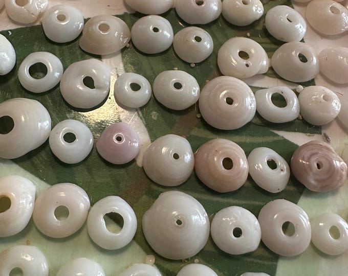 100 XS Hawaiian Puka Shells Handpicked From Oahu North Shore Gems ...