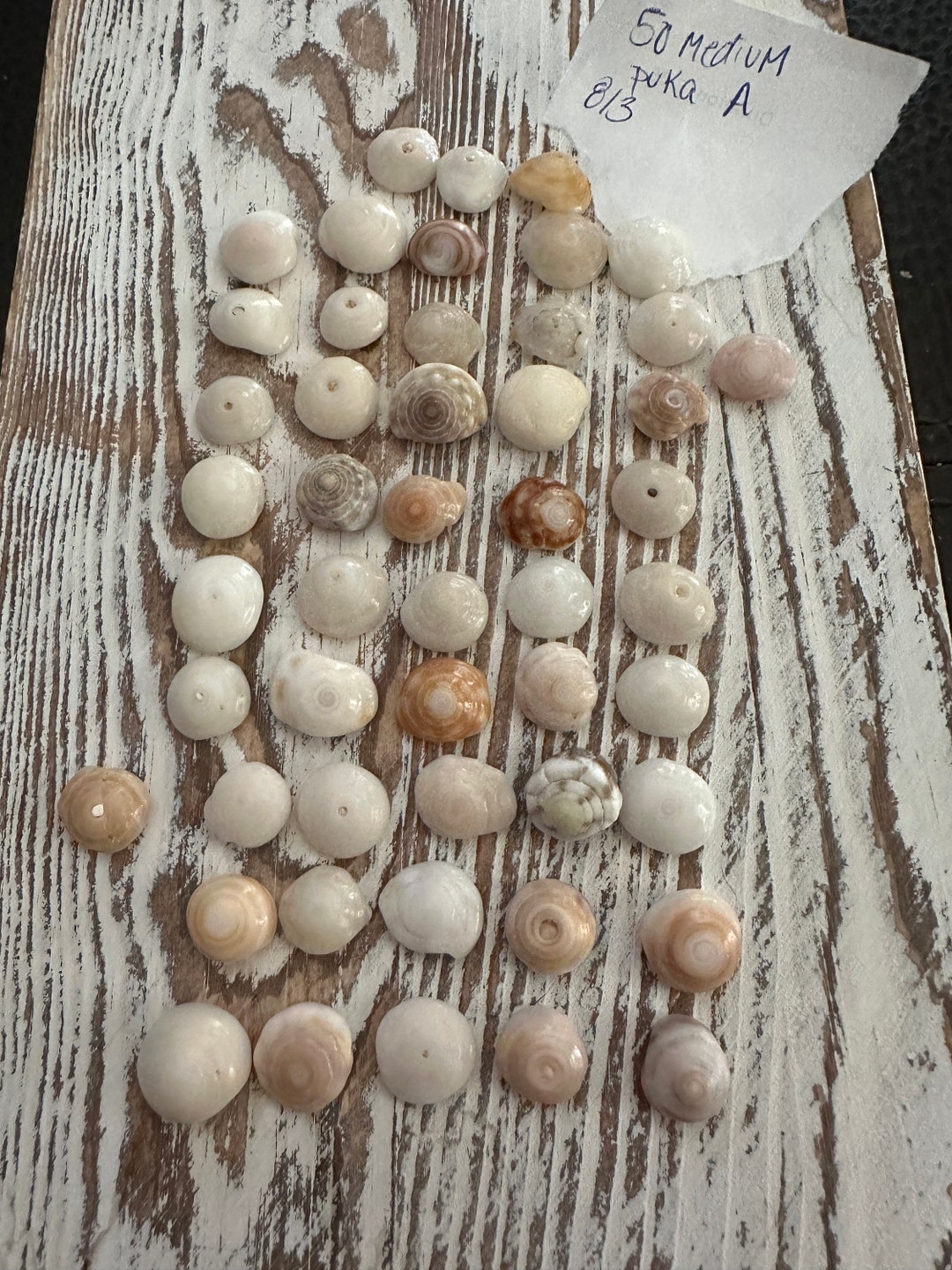 50 Medium Puka Shells Handpicked From Hawaii Oahu Sea Shells - Etsy