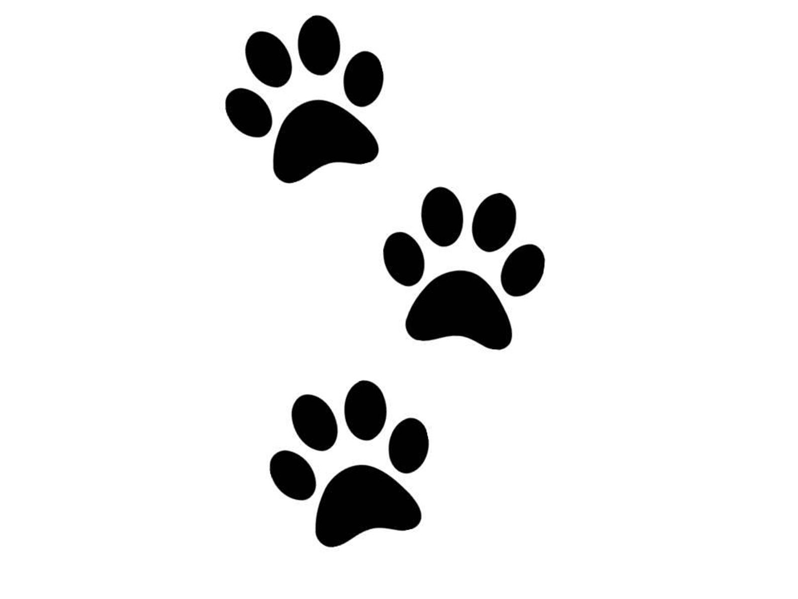 Dog Paw Print Clip Art Set, Ideal for Crafting or Card Making Download ...