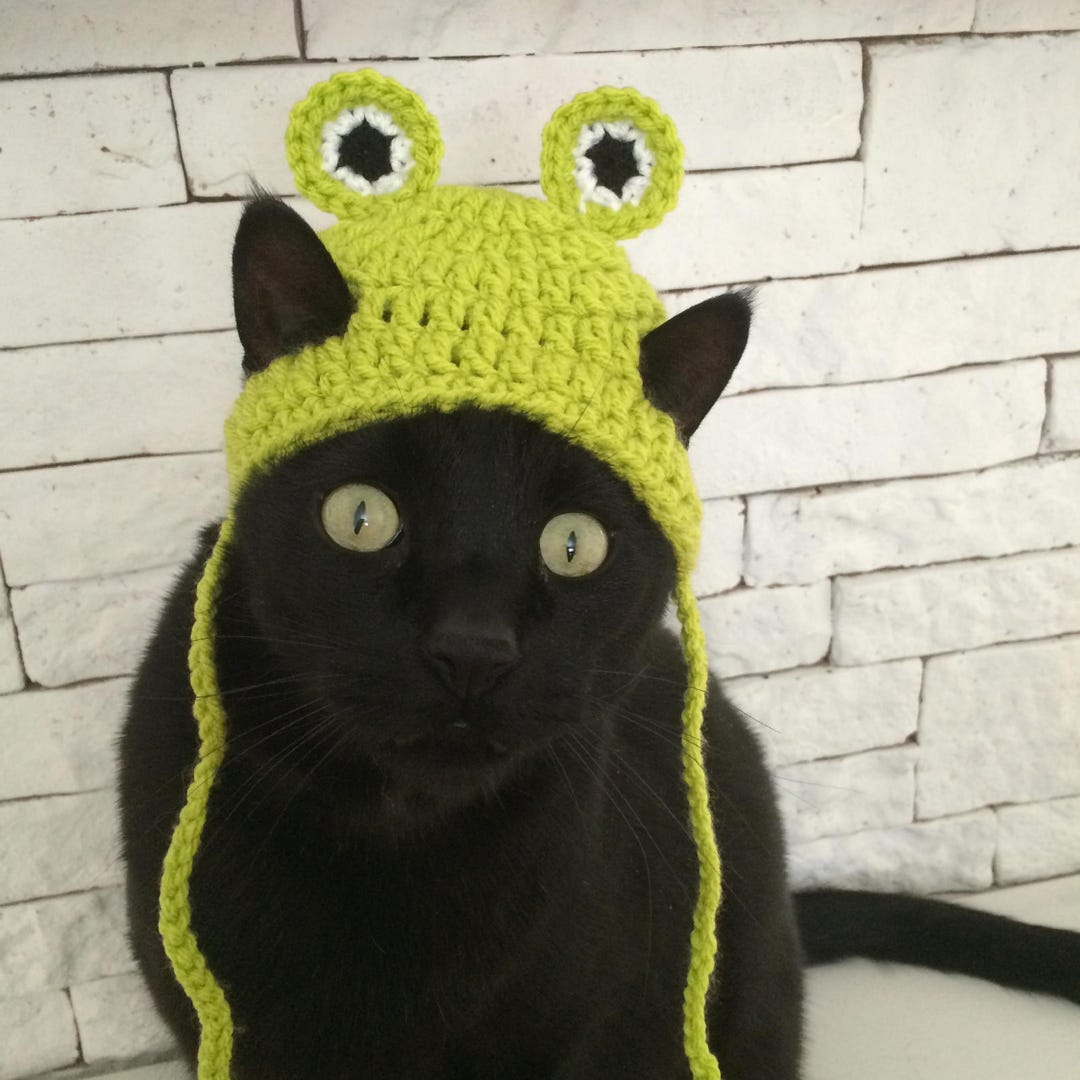 Frog Cat Hat, Crochet Froggy Beanie Hat for Cats, Frog Cat Costume ...