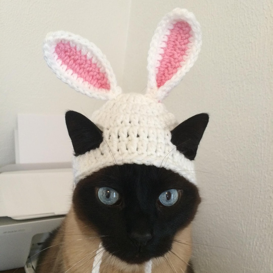 Bunny Ears Hat for Cats, Easter Bunny Cat Hat, Crochet Easter Cat ...