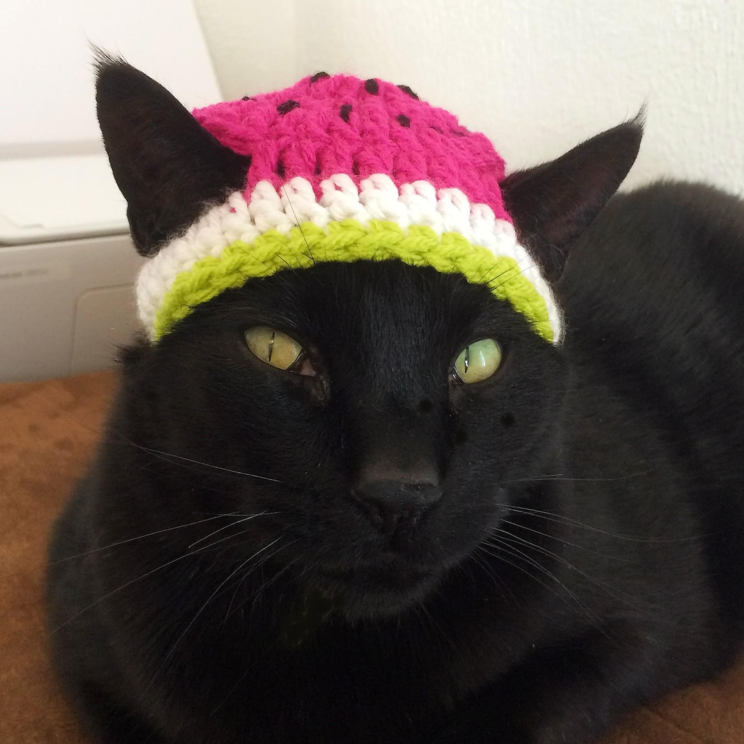 Watermelon Hat for Cats, Crochet Watermelon Pet Beanie, Cat Costume ...