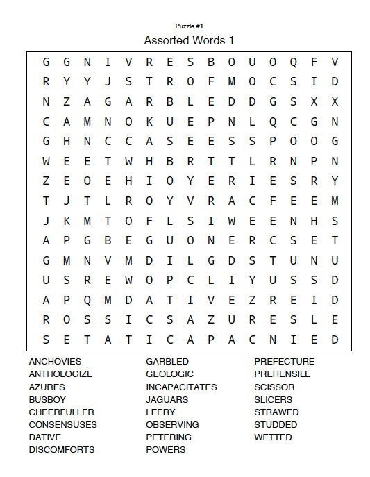 200+ Word Search Puzzles - Etsy