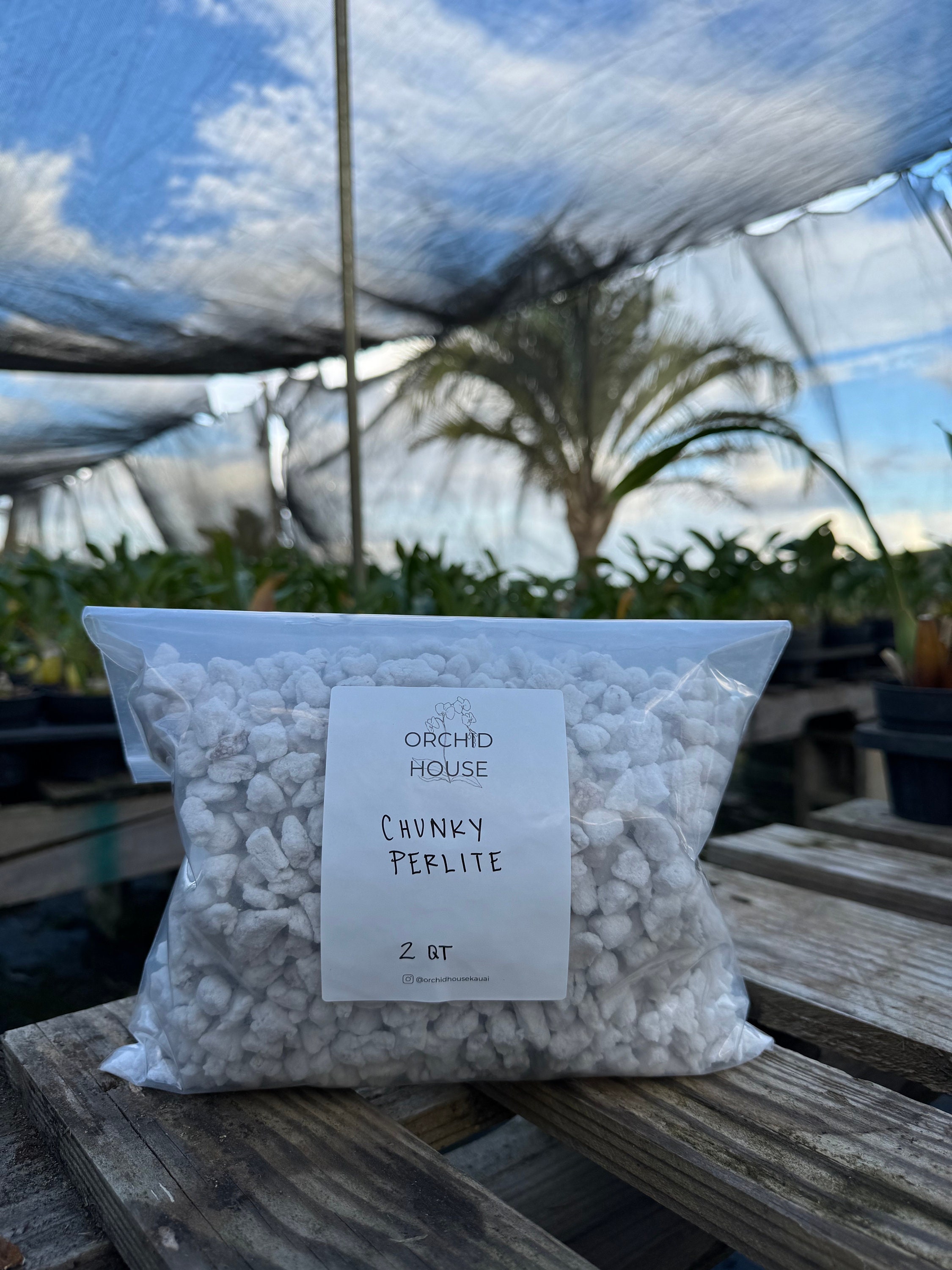 Super Chunky Perlite Large Perlite Extra Course Sponge Rock - Etsy