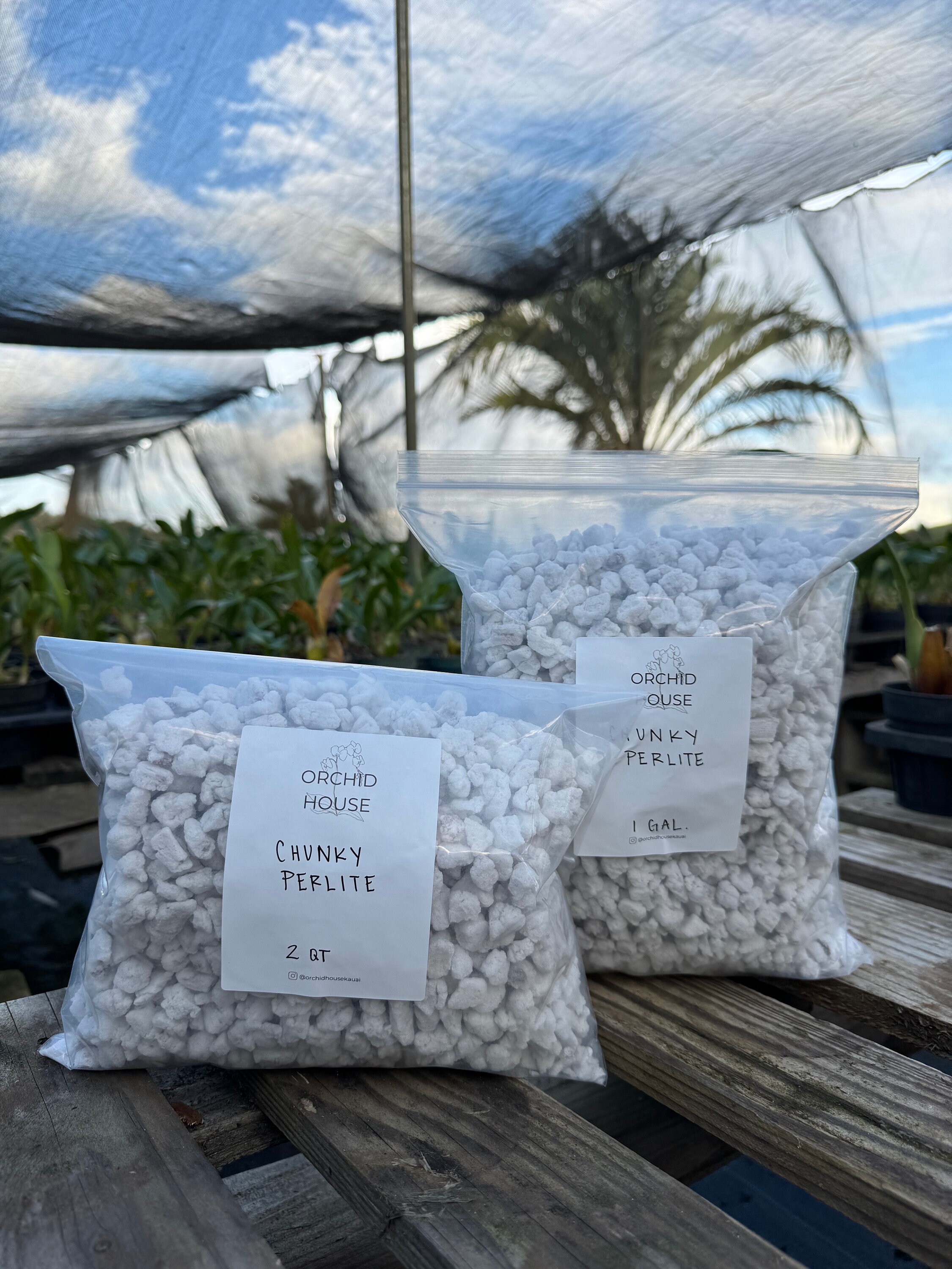 Super Chunky Perlite Large Perlite Extra Course Sponge Rock - Etsy