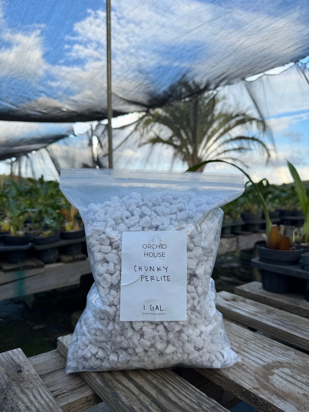 Super Chunky Perlite Large Perlite Extra Course Sponge Rock - Etsy