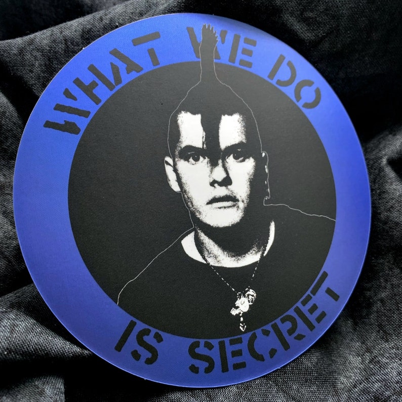 Germs Sticker Darby Crash Sticker What We Do is Punk Sticker - Etsy