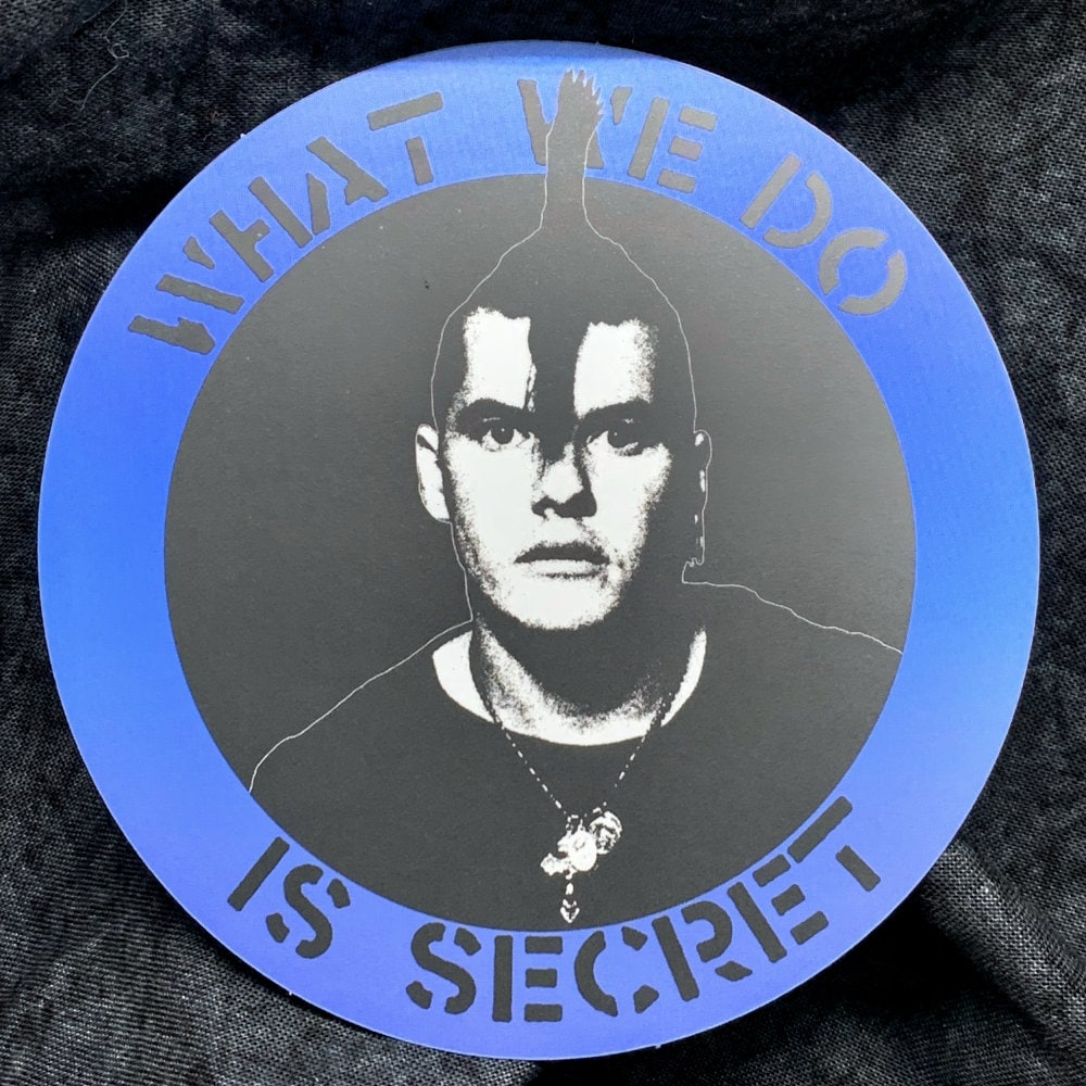 Germs Sticker Darby Crash Sticker What We Do is Punk Sticker - Etsy