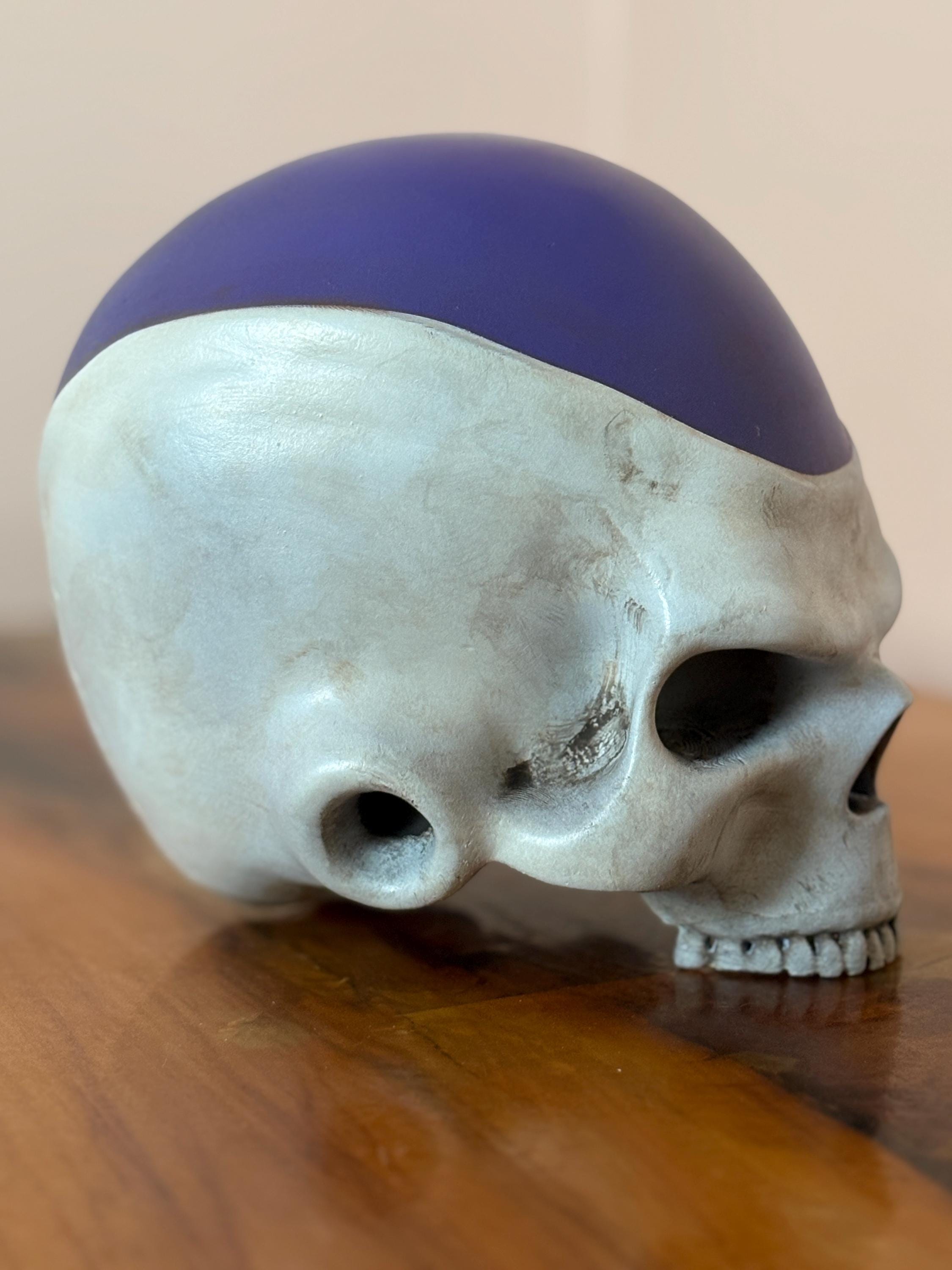 Frieza Dragon Ball Z Skull - Etsy