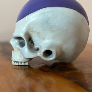 Frieza Dragon Ball Z Skull - Etsy