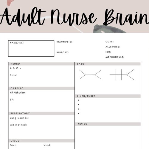 Nurse Brain Report Sheet - Etsy