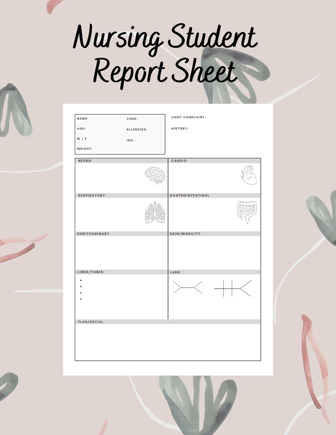 Nursing Student Report Sheet - Etsy
