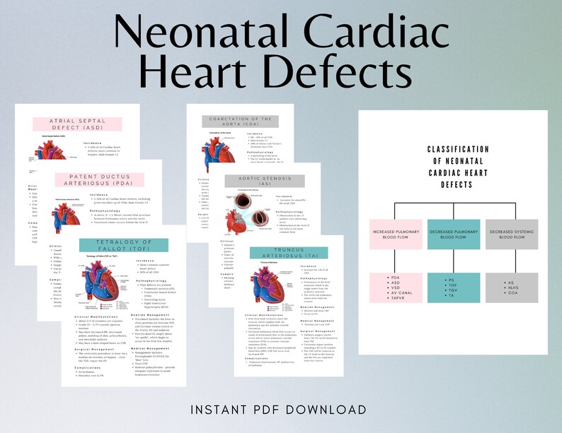 Neonatal Cardiac Heart Defects - Etsy