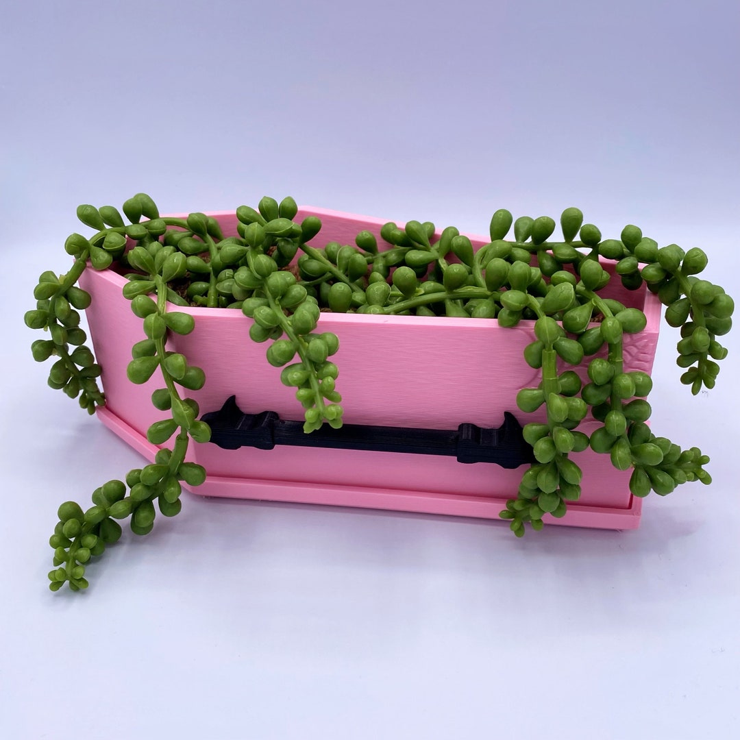 Large Coffin Planter - Coffin Catch All - Coffin Box - This Coffin is ...