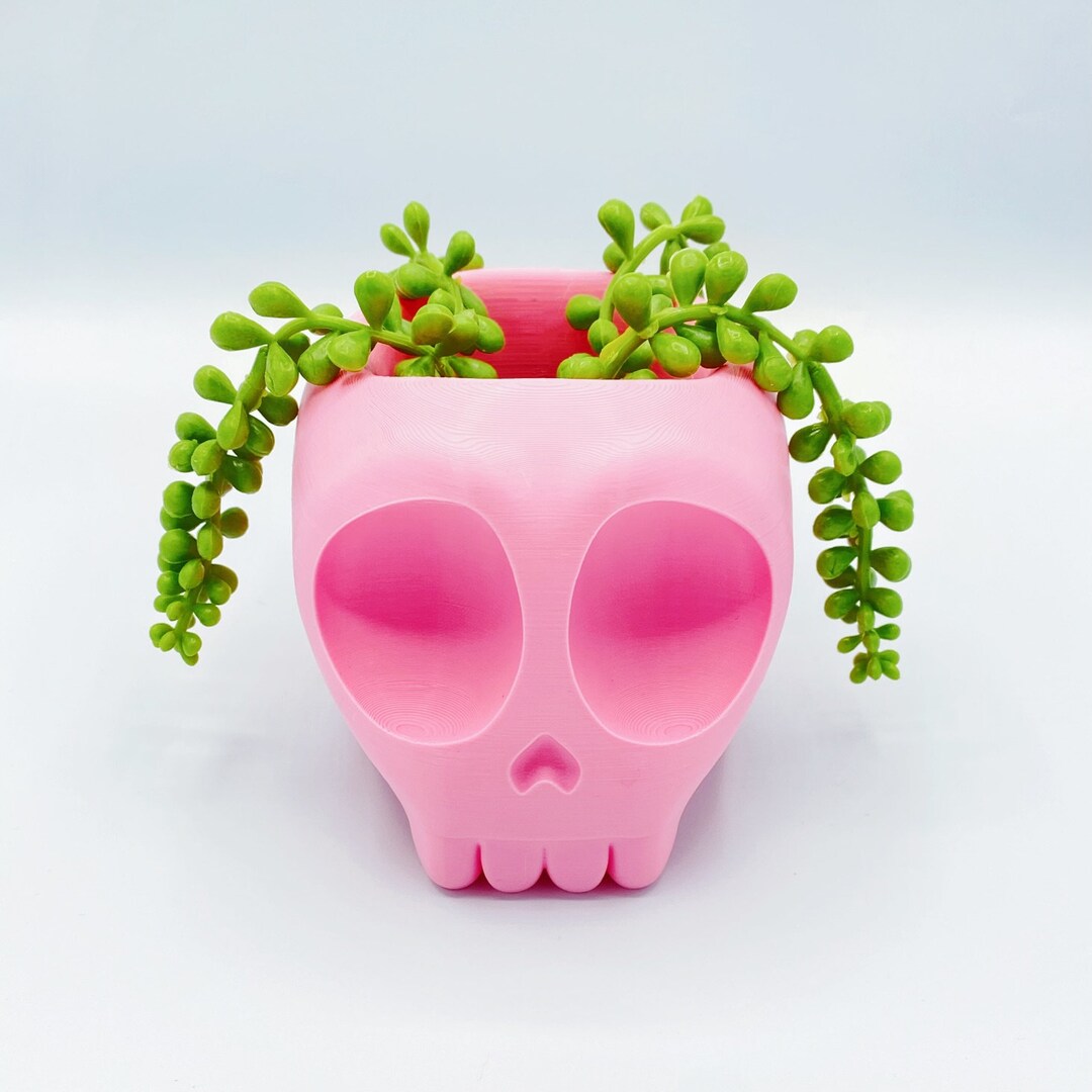 Skull Planter - Skull Houseplant Pot - Cute Skull Succulent Planter ...