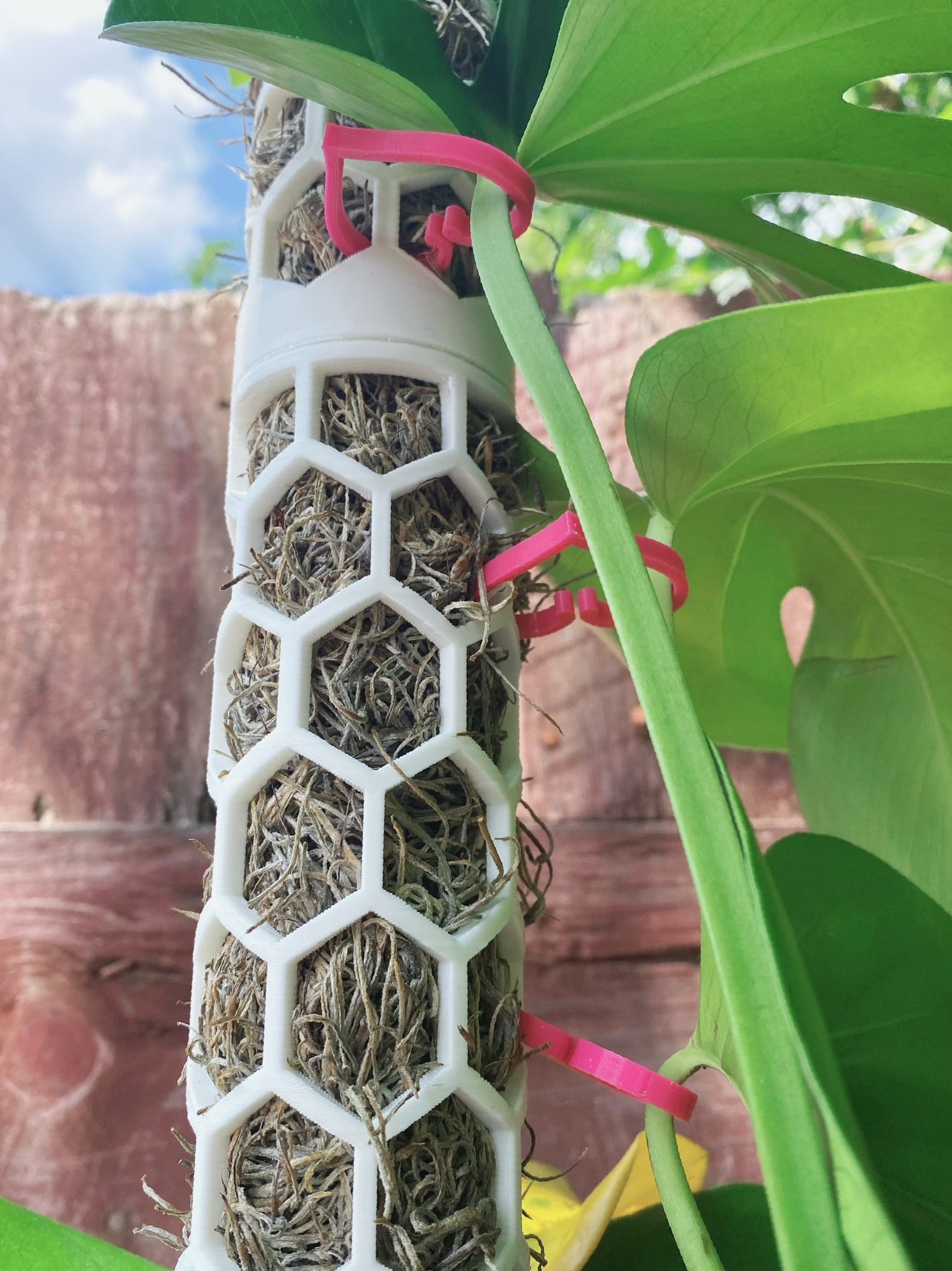 Modular Moss Pole Moss Tower Moss Tower That Will Grow - Etsy