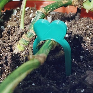 Propagation Pins - Moss Pole Pins - Allow a Little More Flair to Your ...