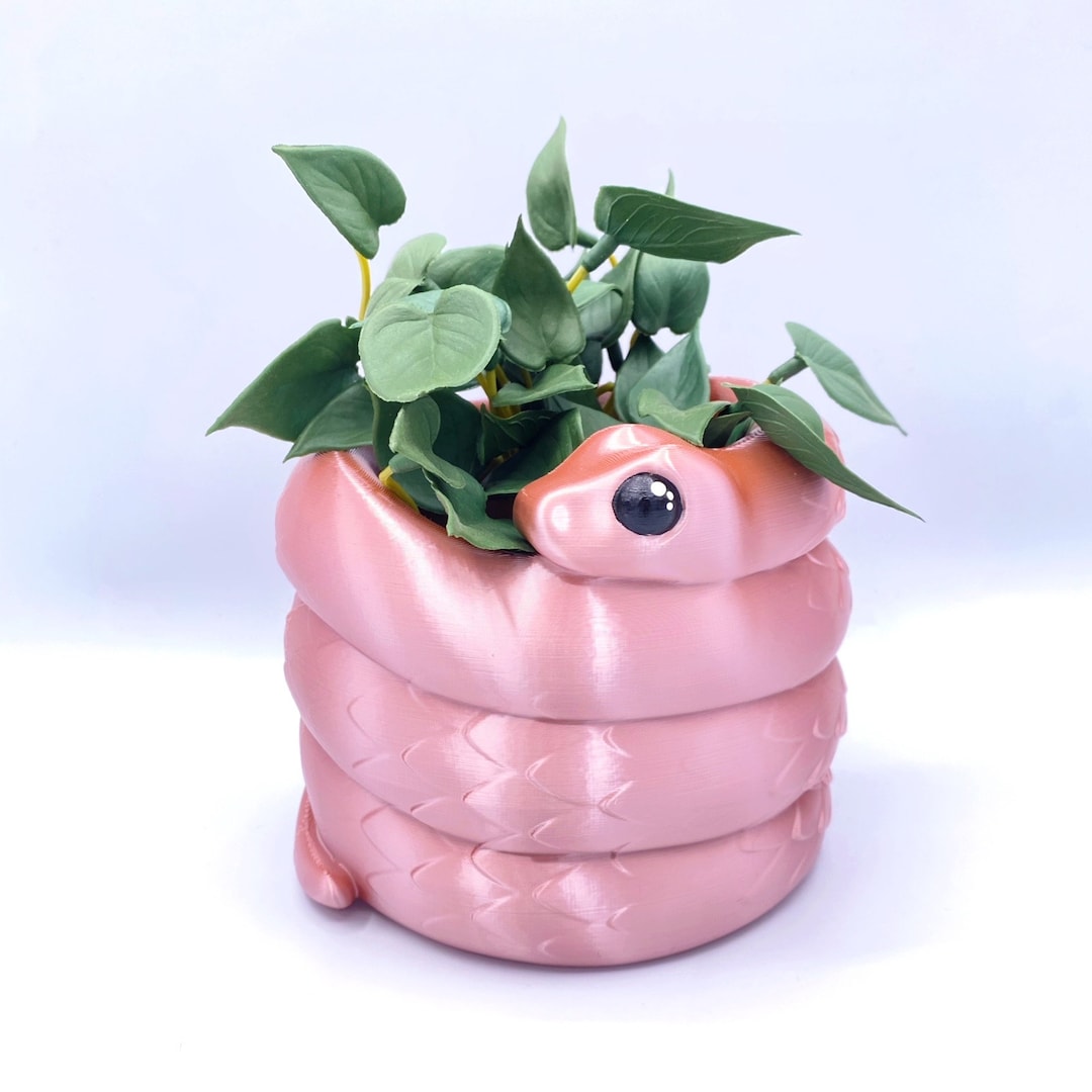 Snake Planter - Snake Plant Pot With Drainage - Cute Snake Planter ...