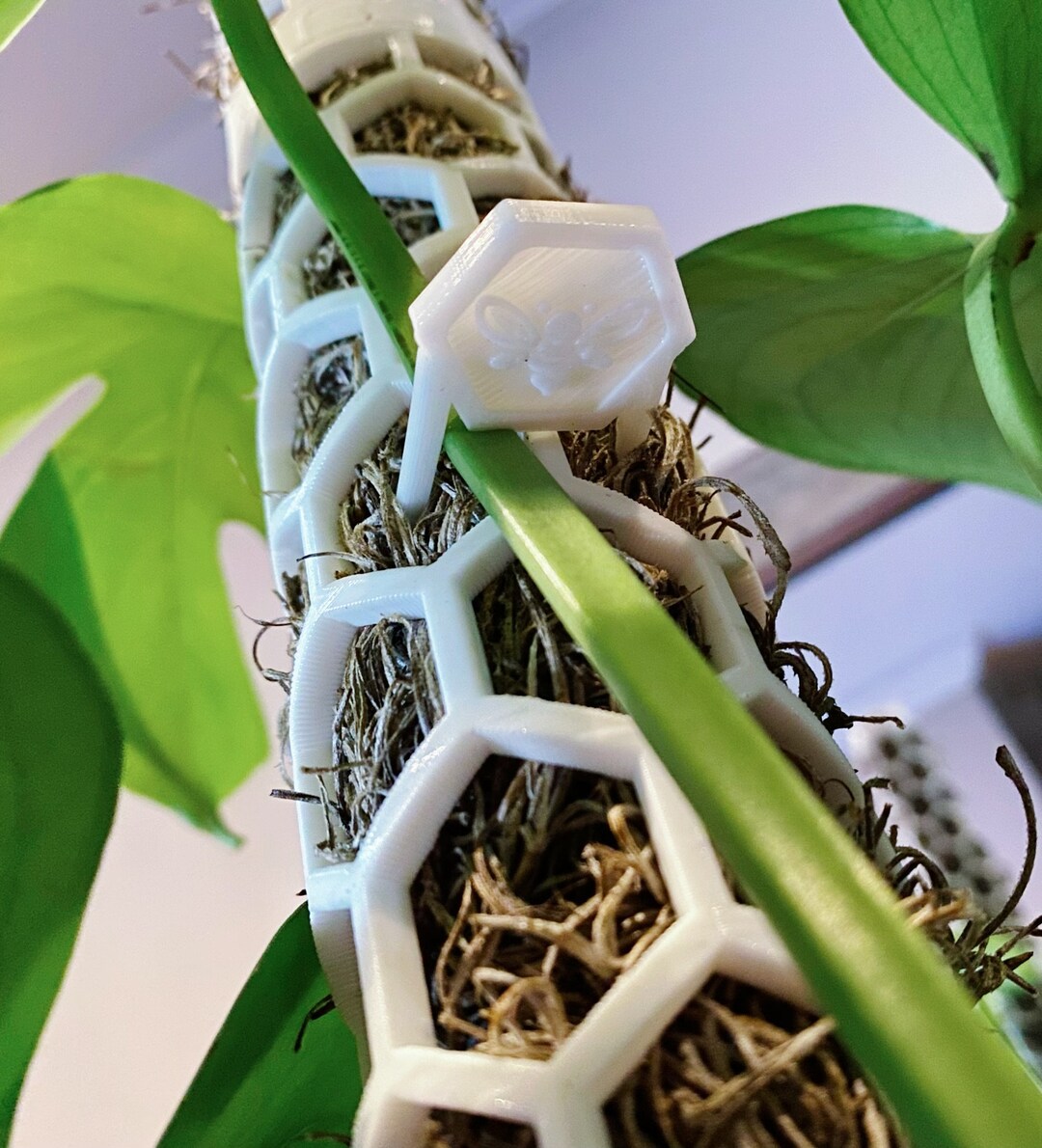 Propagation Pins - Moss Pole Pins - Allow a Little More Flair to Your ...