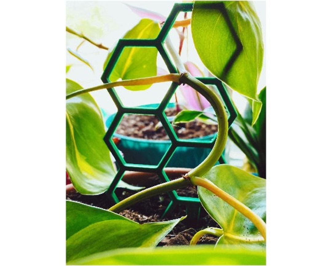 Potted Plant Mini Trellis Pair/2 Hexagon Plant Supports/3d Printed Mini ...