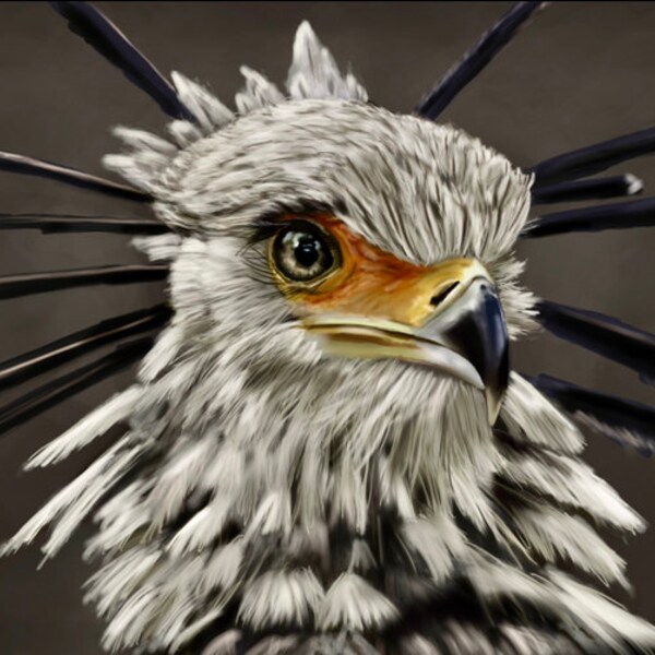 Secretary Bird - Etsy