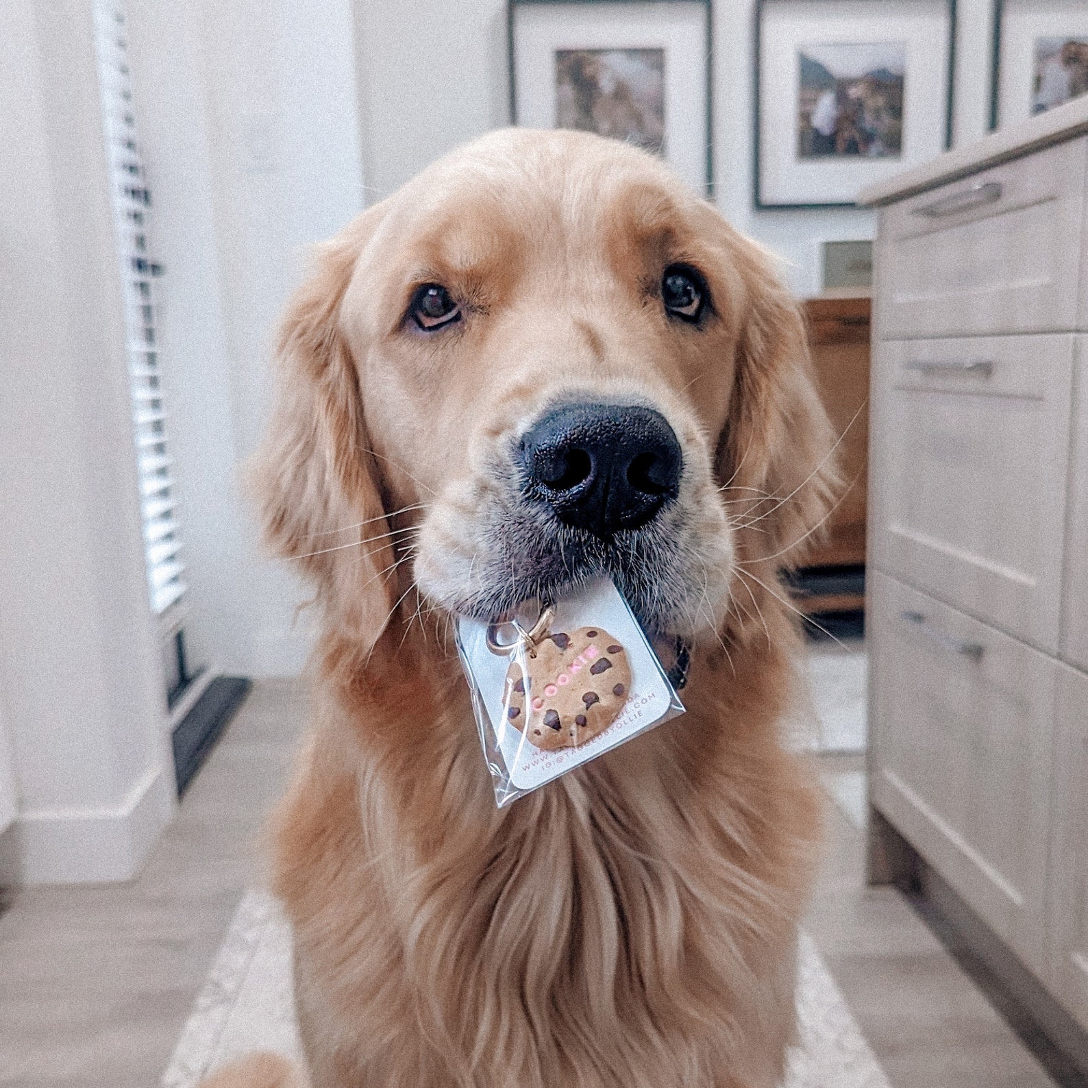 Choco Chip Cookie Tag With Clay Milk Charm | Christmas Pet Tags Polymer ...