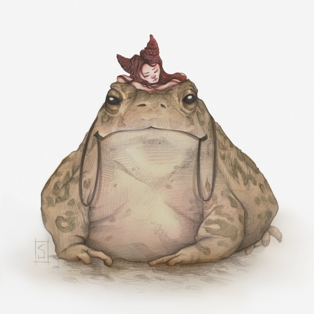 Jude Napping on a Toad - Etsy