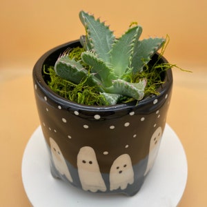 Boo Spooky Ghost Pot Succulent & Air Plant Halloween Gift Ghost Planter ...