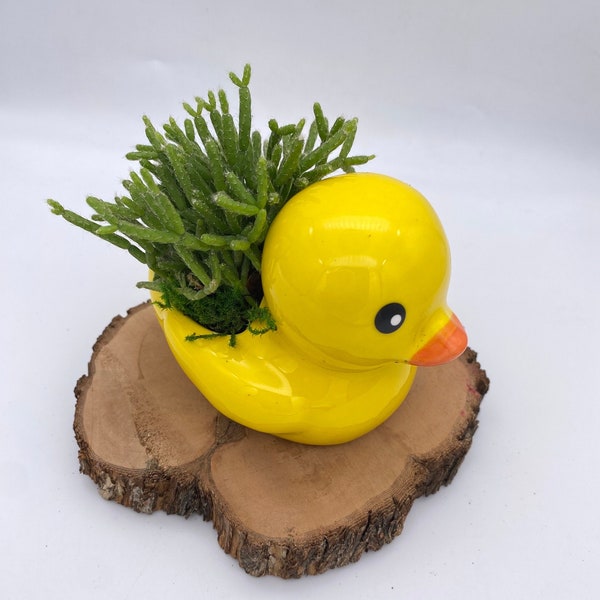 Duck Planter - Etsy